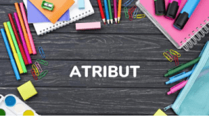 Jenis-Jenis Atribut di Dalam Data Mining : Arti Atribut Nominal ...